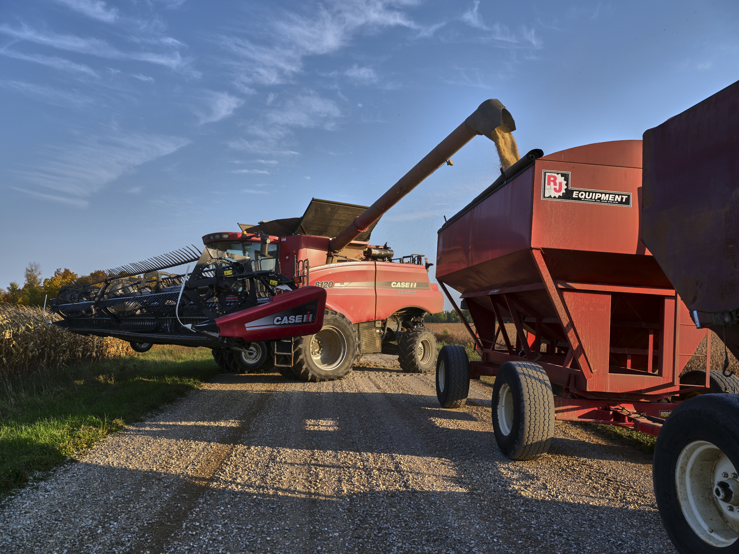 Curtis Seeds Ltd. | SeCan